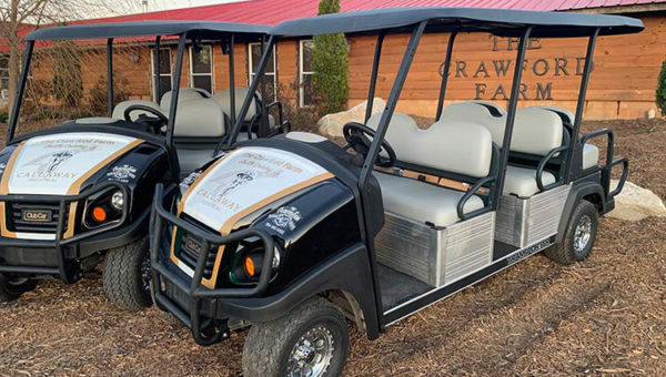 Two new six seat golf carts for comfortable transportation | Weddings ...